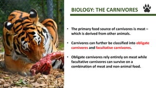 BECOMING A VEGETARIAN- Animal Cruelty, Speciesism, Sanatan & Biological ...