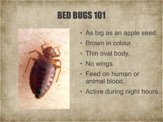A Short Guide to Bed Bugs | PDF