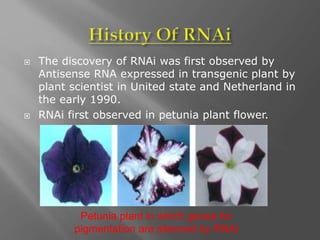 RNAi technology | PPTX
