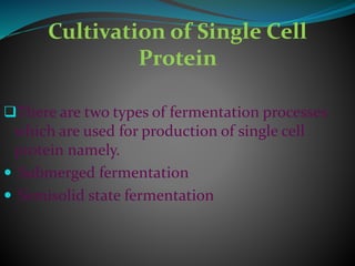 Simgle cell protien | PPTX