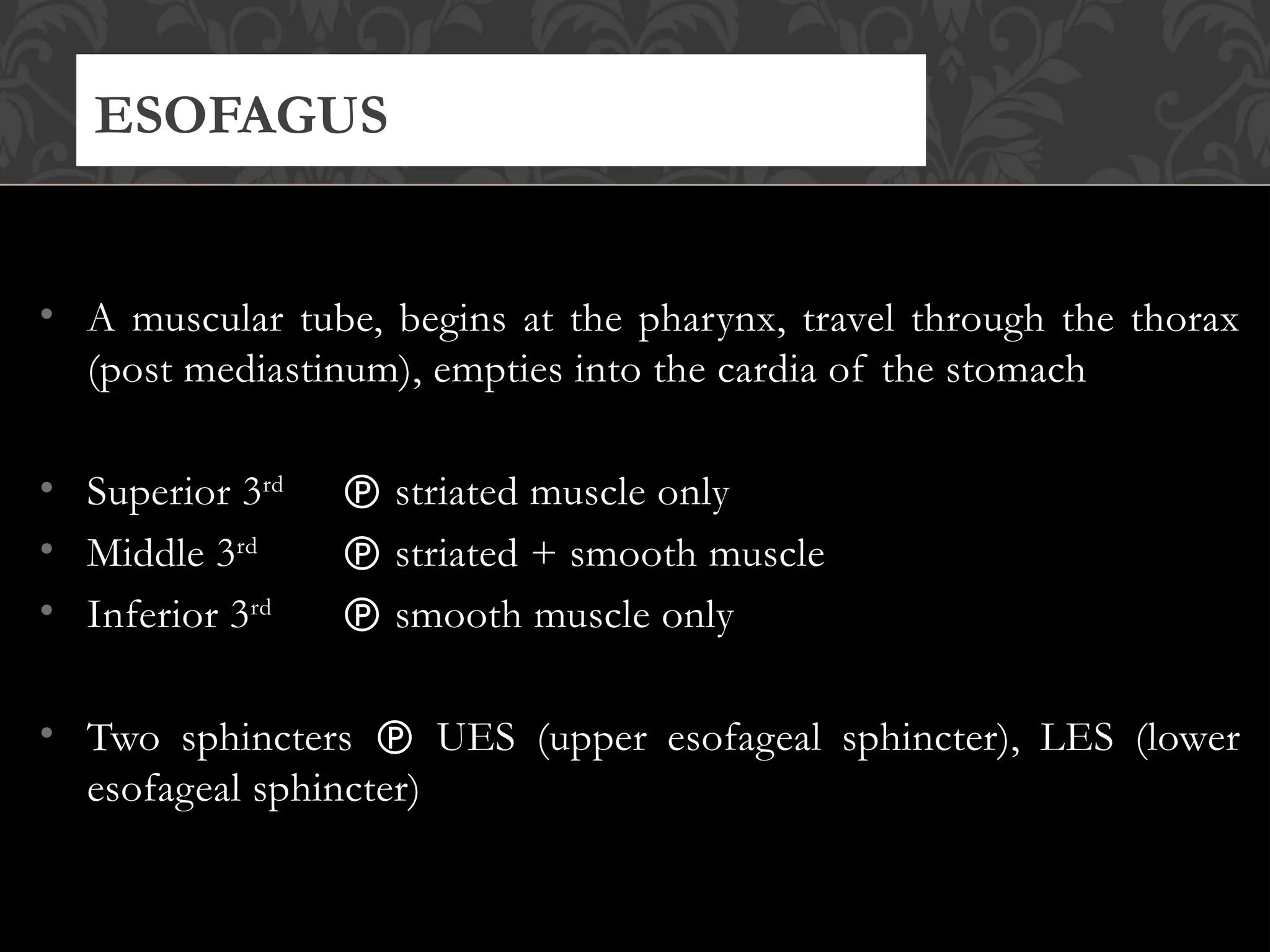 Bedah_Digestif_Kuliah_ .pptx