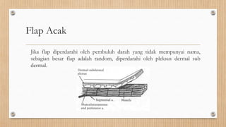 Bedah plastik: skin graft & skin flap | PDF