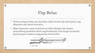 Bedah plastik: skin graft & skin flap | PDF