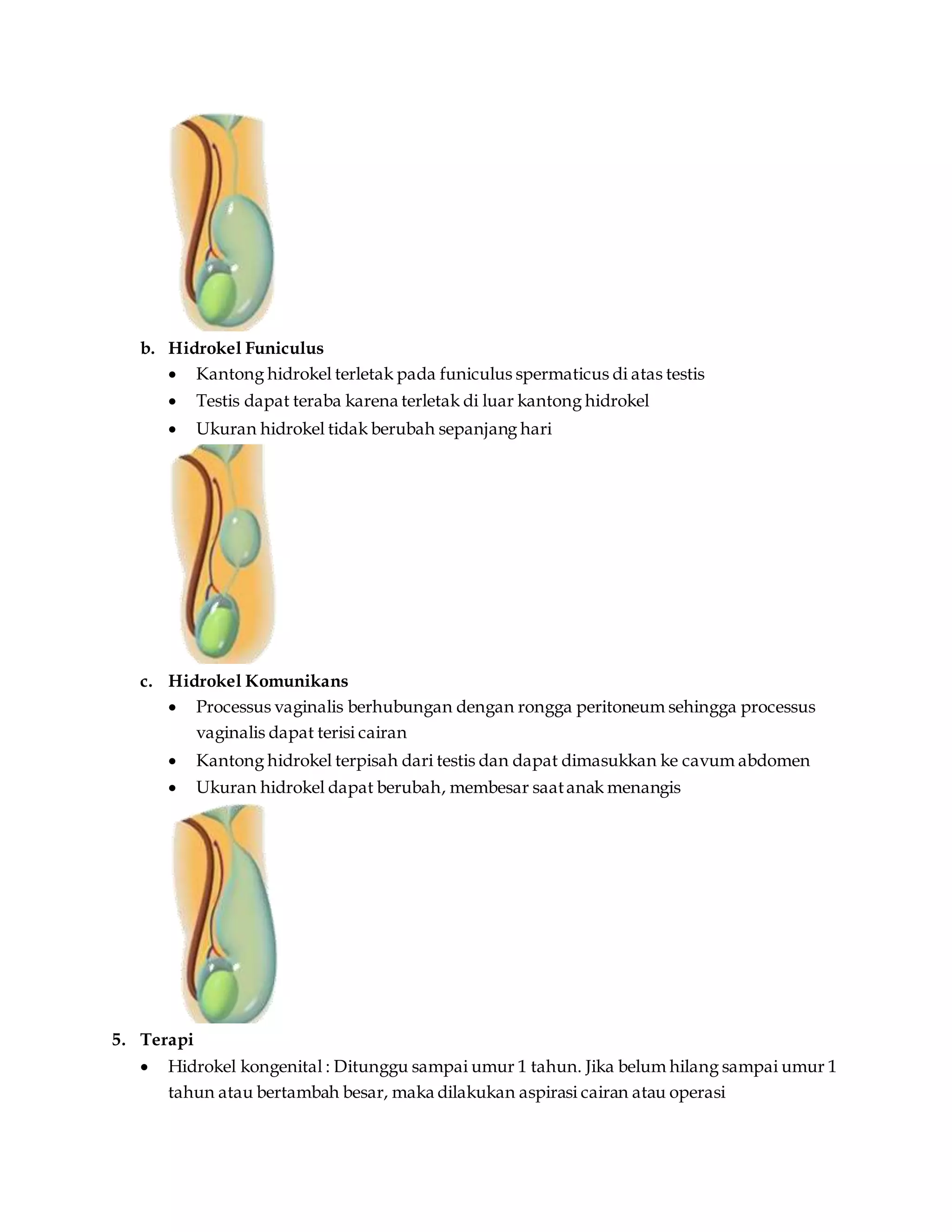 Rangkuman Materi Urologi | DOCX