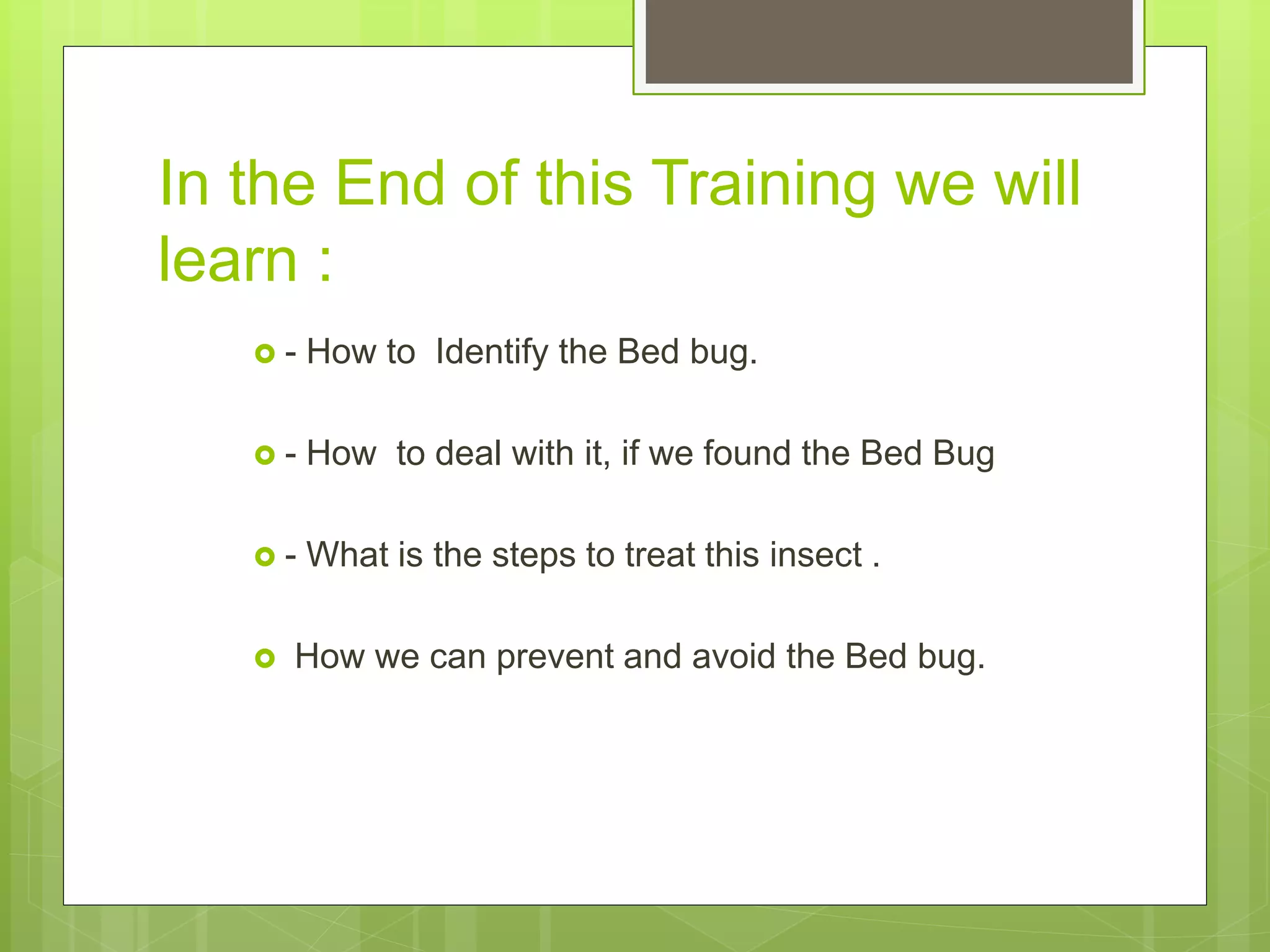 Bed bug for housekeeping | PPTX