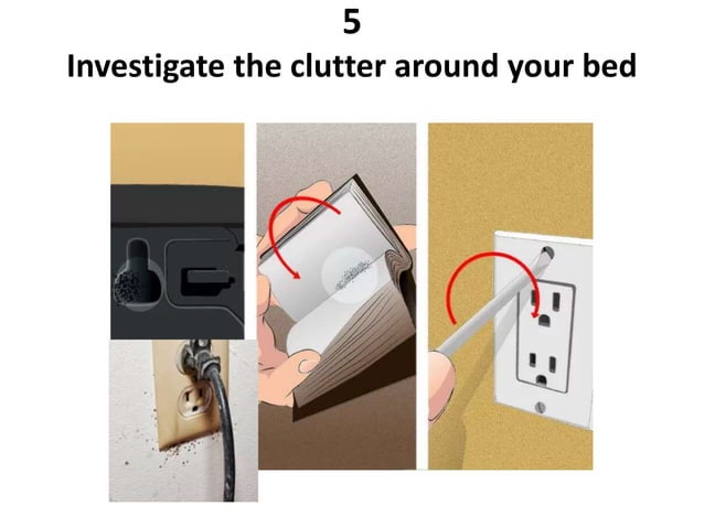 Bed bugs awareness | PPTX