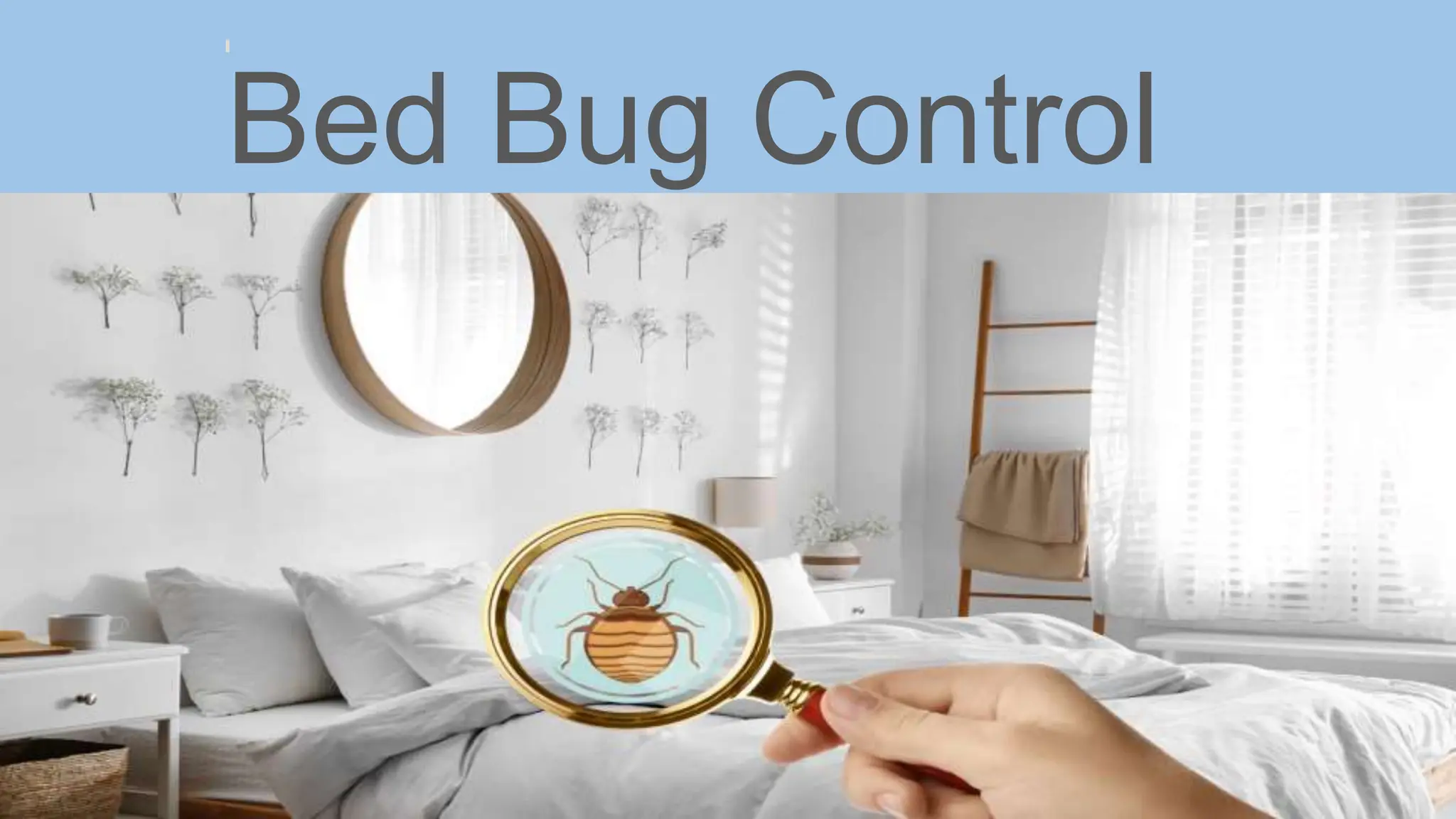 Enviro-Care Pest and Termite Control Inc. | PPTX