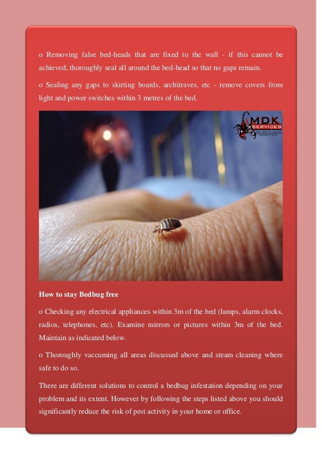 Bedbug control service | PDF | Sleep Disorders | Diseases and Conditions