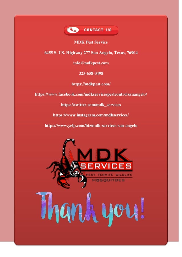 Bedbug control service | PDF | Sleep Disorders | Diseases and Conditions