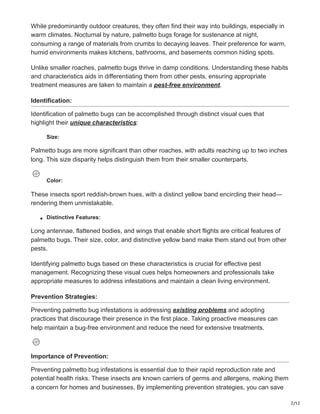 bedbugdetected.com-Comprehensive Guide to Effective Palmetto Bug ...