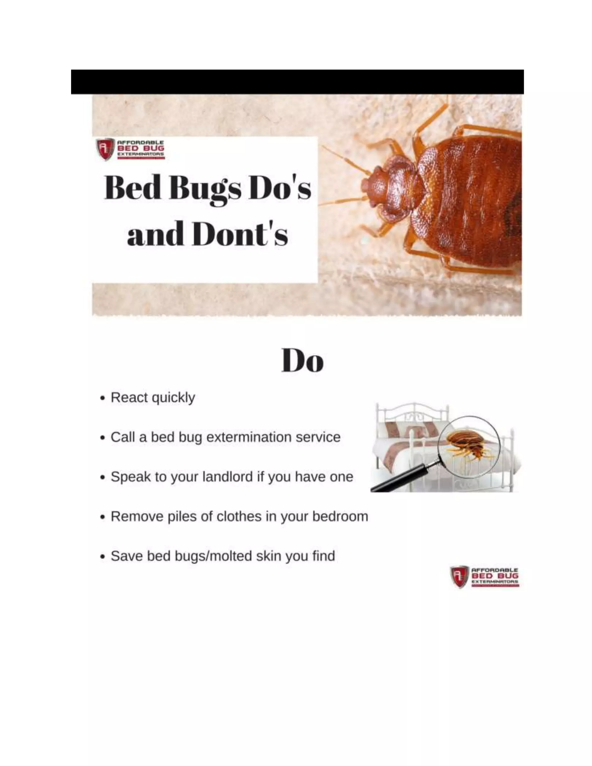 Bed Bug Do's and Dont's | PDF