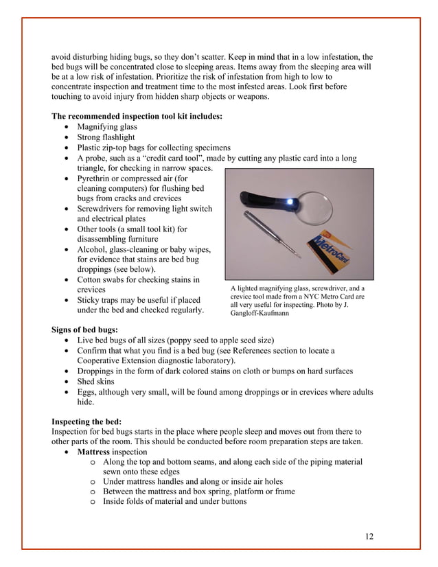 Bed bug guidelines for shelters and group living facilities | PDF | Agriculture | Industries