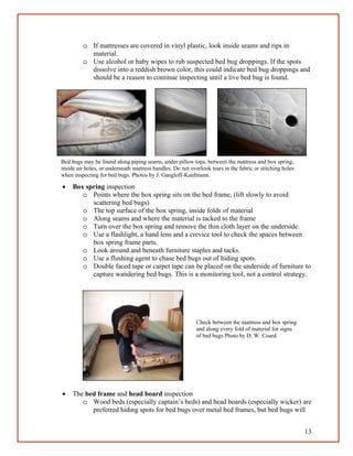 Bed bug guidelines for shelters and group living facilities | PDF
