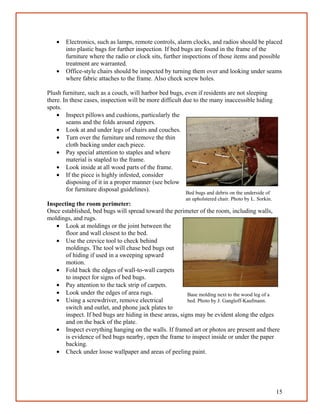 Bed bug guidelines for shelters and group living facilities | PDF