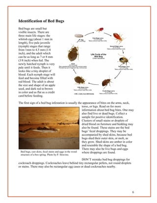 Bed bug guidelines for shelters and group living facilities | PDF | Agriculture | Industries