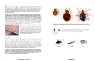 GDPH Bed Bug Handbook 2012 | PDF