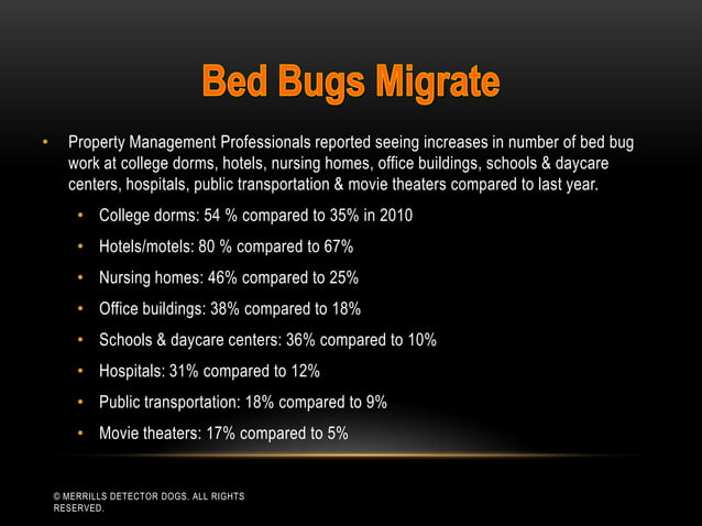 Bed Bug Presentation 1 | PPTX