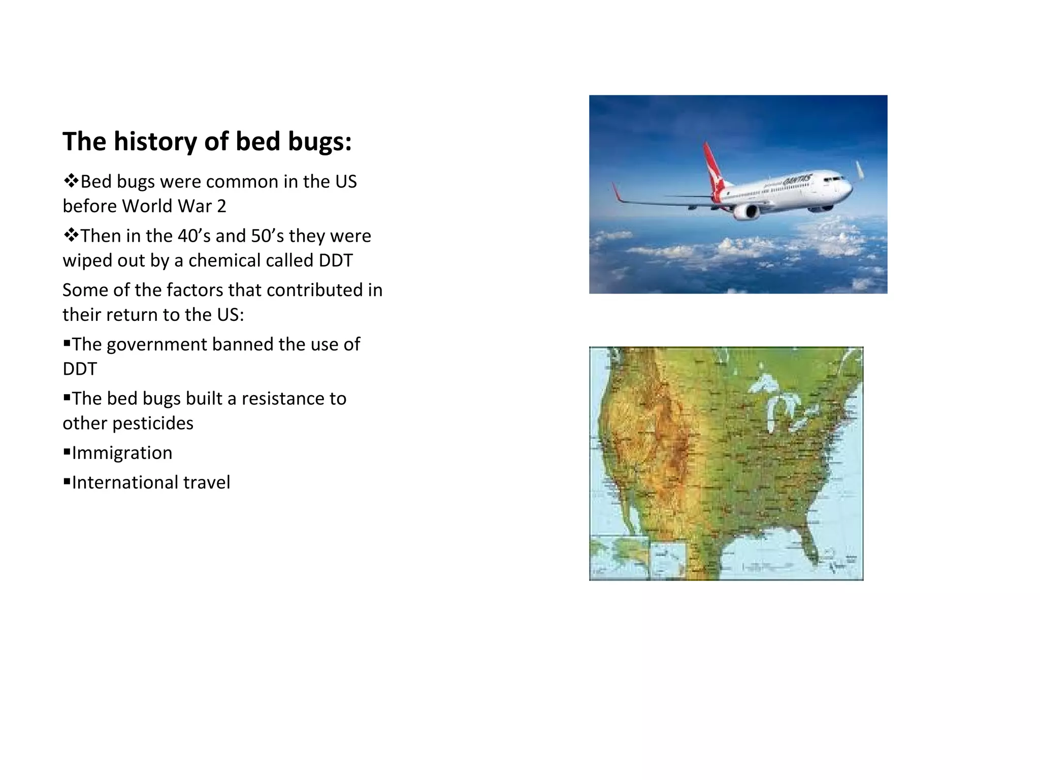Bed bugs | PPT