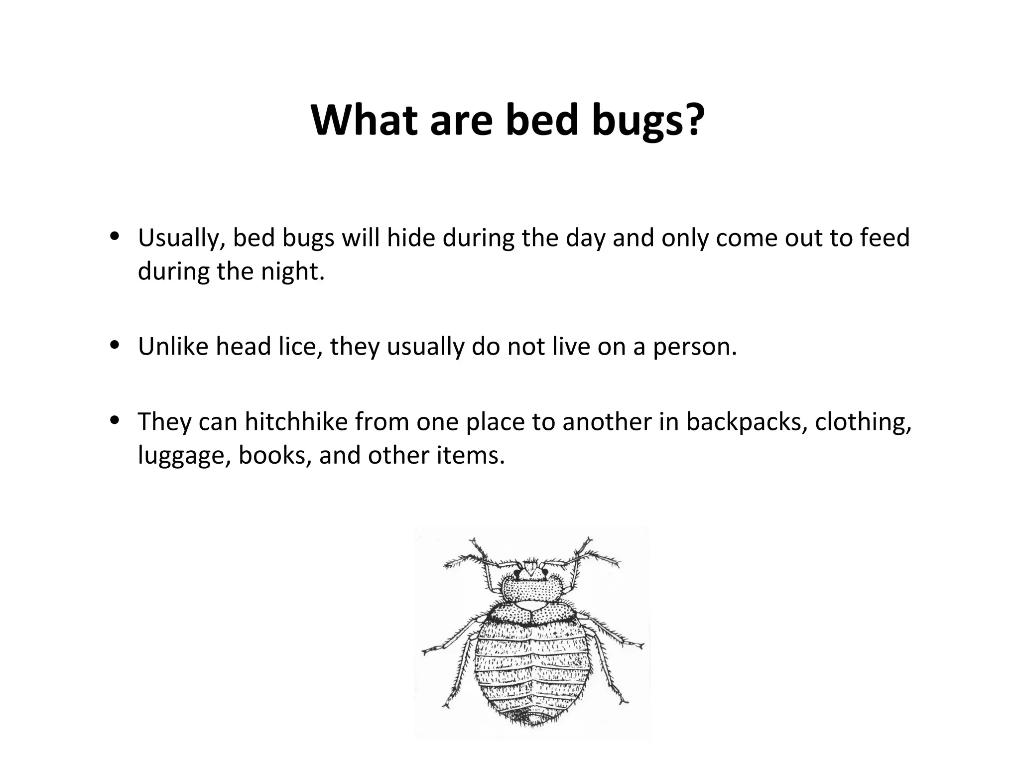 Bed Bugs in Schools | PPT | Sleep Disorders | Diseases and Conditions