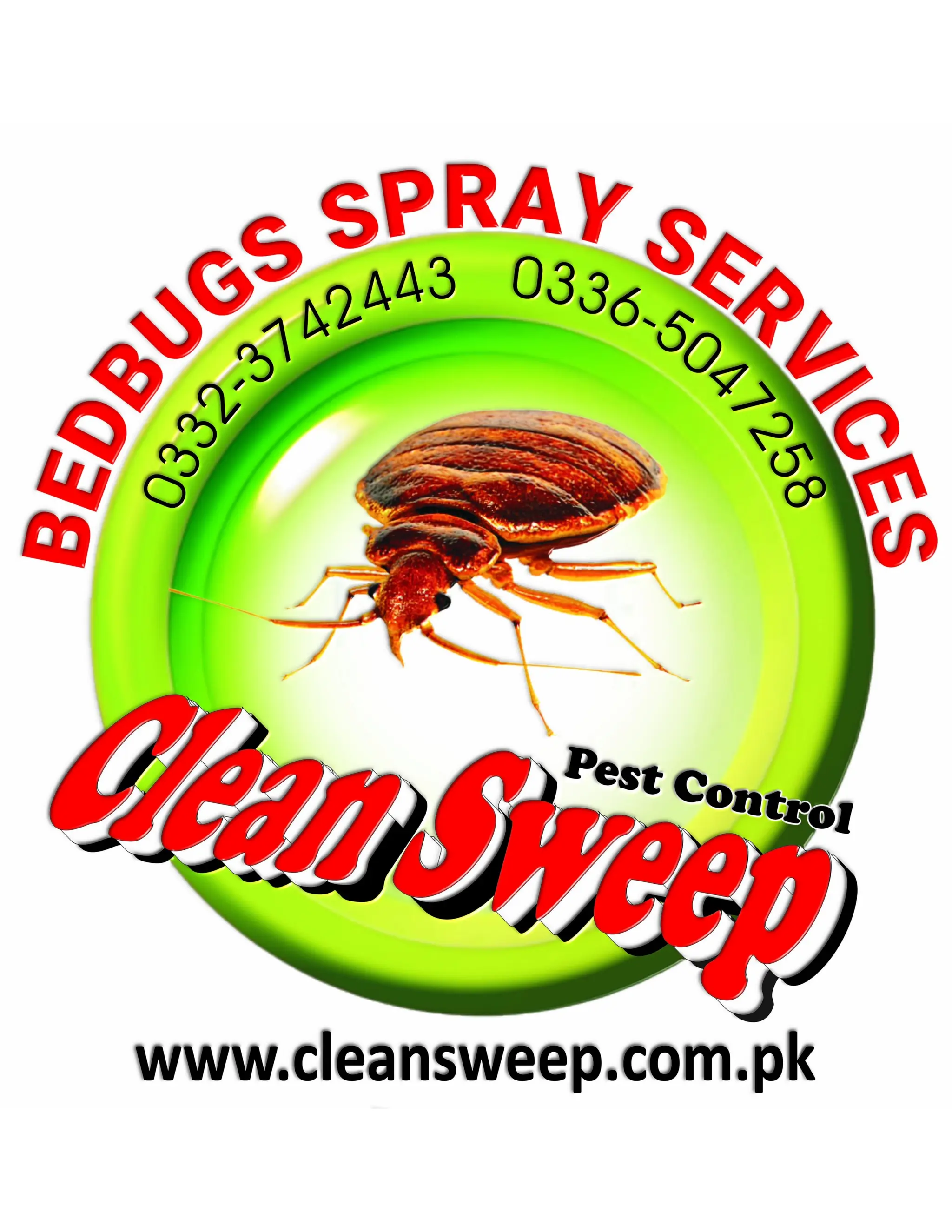 khatmal khatam karne ka Tarika | how to Get rid of Bed Bugs | khatmal ...