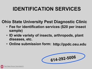 Bed Bugs: Know Your Enemy | PPT