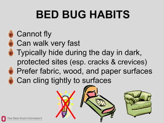 Bed Bugs: Know Your Enemy | PPT