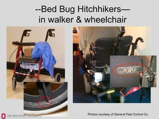 Bed Bugs: Know Your Enemy | PPT