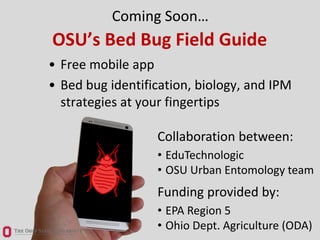 Bed Bugs: Know Your Enemy | PPT