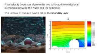 Bedforms_slides.pptx