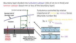 Bedforms_slides.pptx