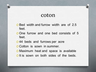 Bed & furrow irrigation | PPTX