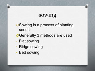 Bed & furrow irrigation | PPTX