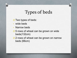 Bed & furrow irrigation | PPTX