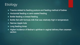 Bednar’s aphthae | PPTX | Ear, Nose and Throat Conditions | Diseases ...