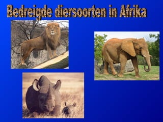 Bedreigde Diersoorten | PPT