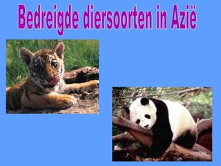 Bedreigde Diersoorten | PPT