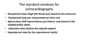 Bed side echocardiography in neonate km ed | PPT