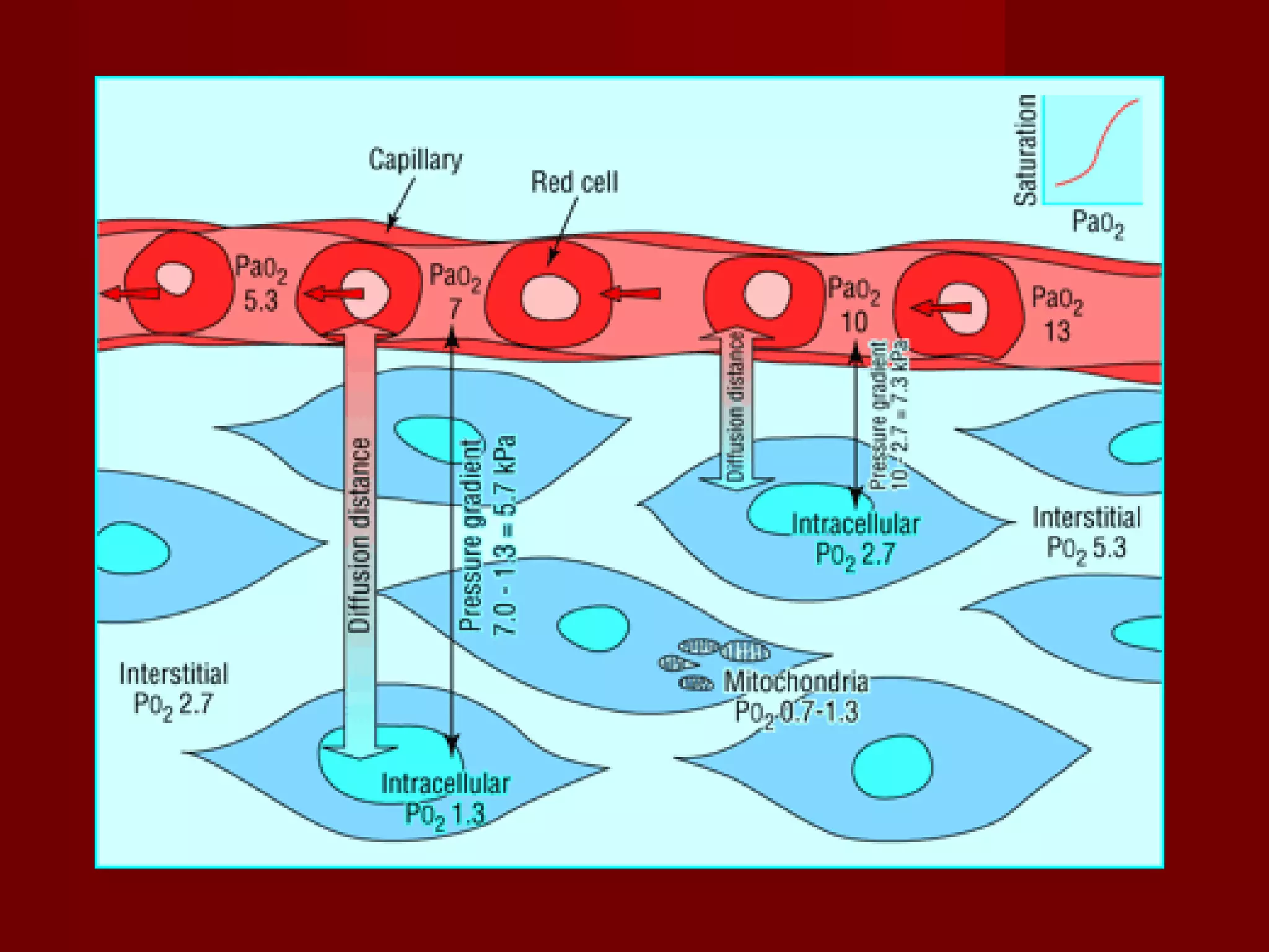 Bedside monitoring of tissue perfusion and oxygenation | PPT