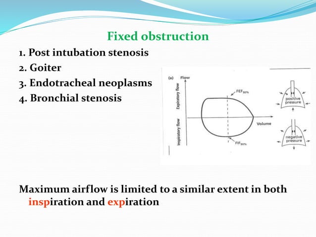 Bedside PULMONARY FUNCTION TEST/PFT | PPTX | Lung and Respiratory ...