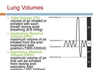 Bedside respiratory assessment & spirometry | PPTX