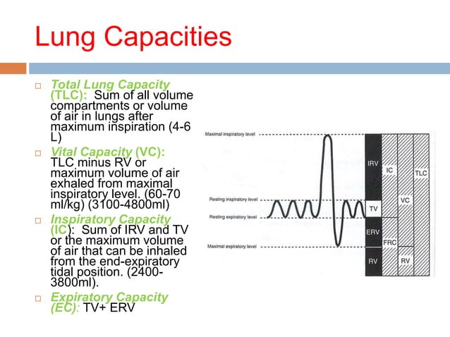 Bedside respiratory assessment & spirometry | PPTX