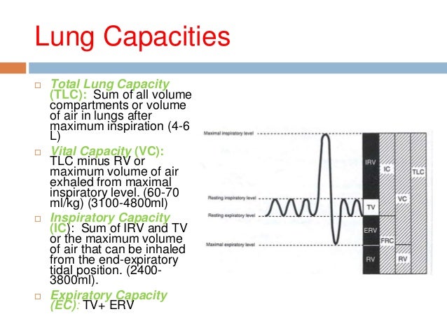 Bedside respiratory assessment & spirometry