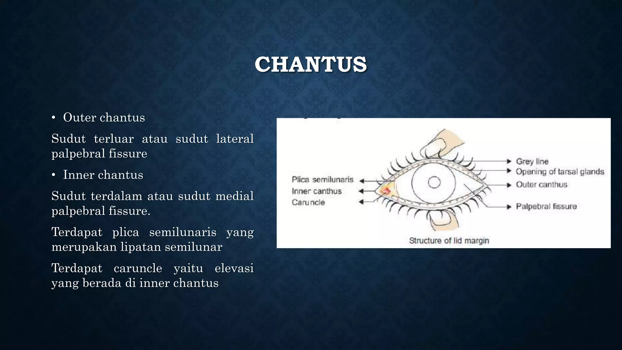 BED SIDE TEACHING chalazion.pptx