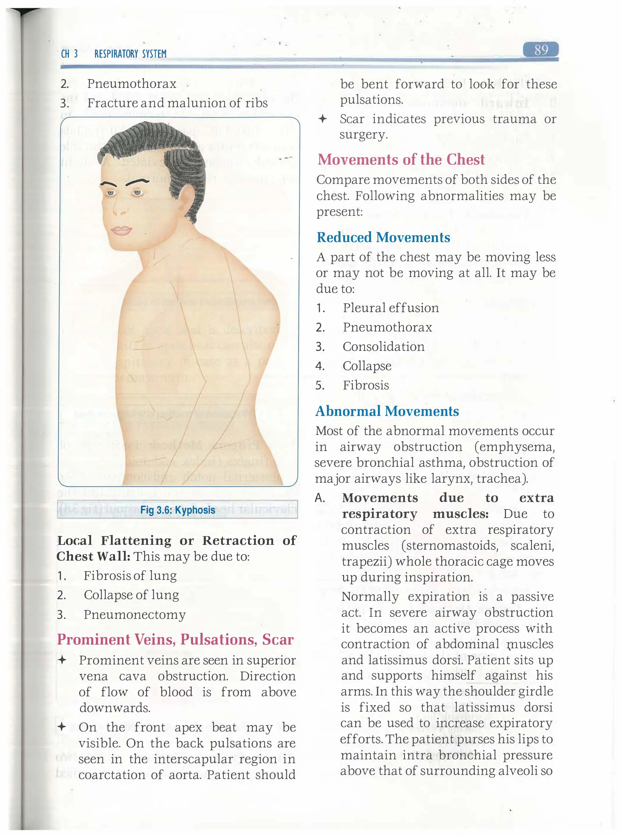 Bedside techniques .pdf free download | PDF