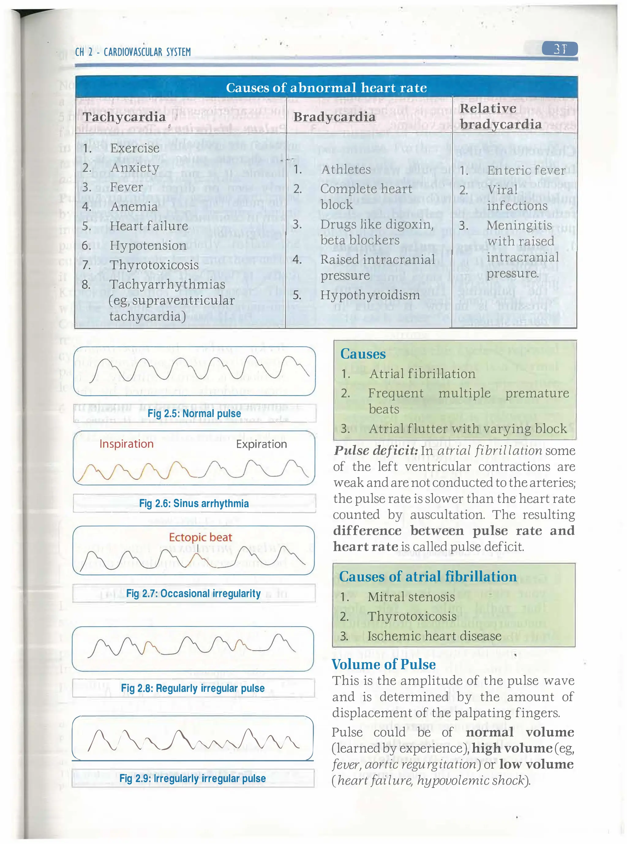 Bedside techniques .pdf free download | PDF | Lung and Respiratory ...