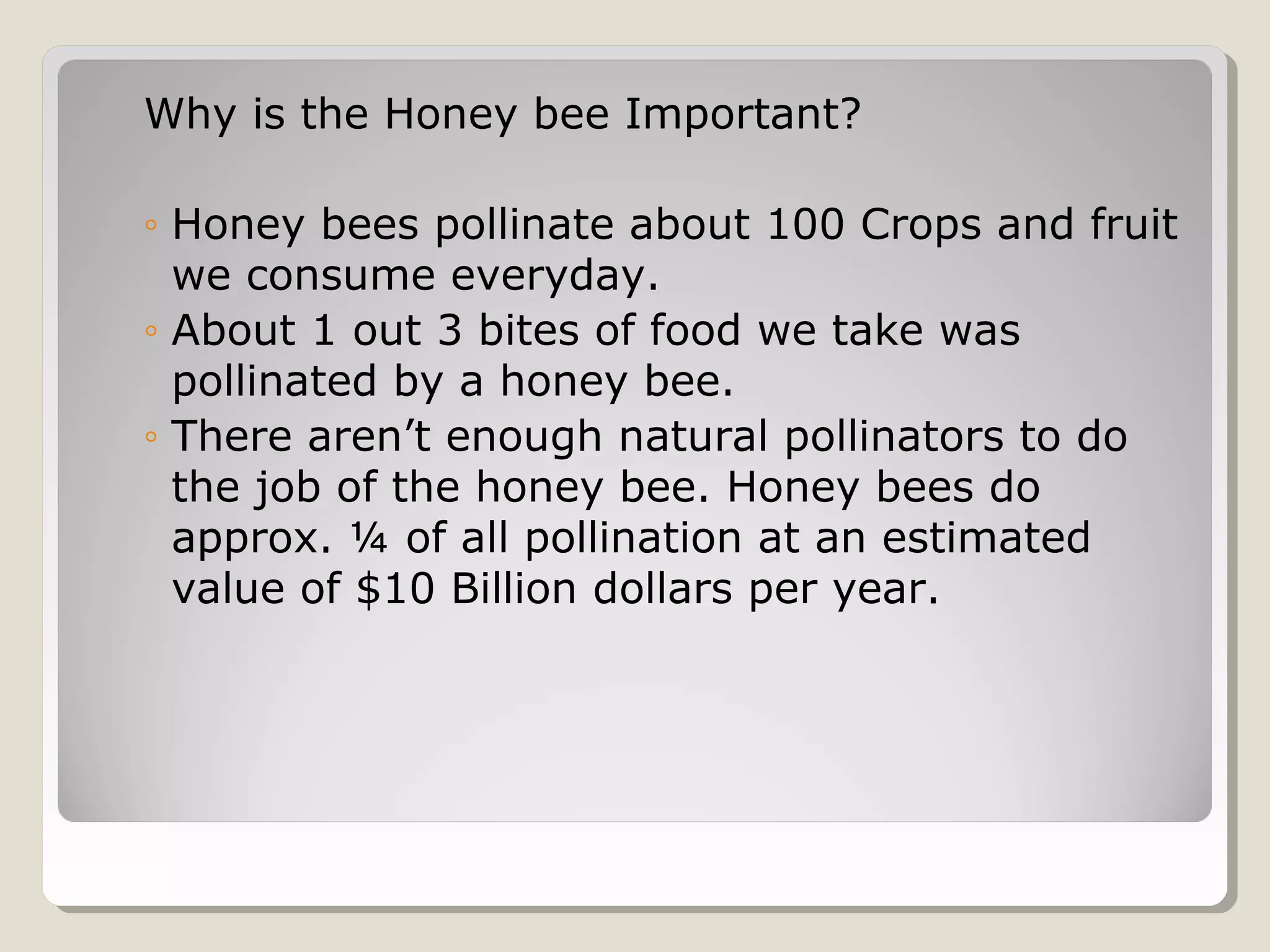 Help the Honey Bees | PPT