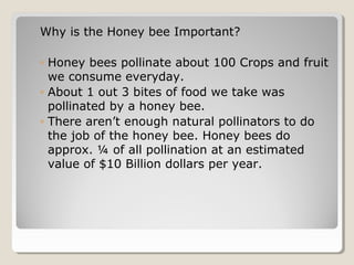 Help the Honey Bees | PPT