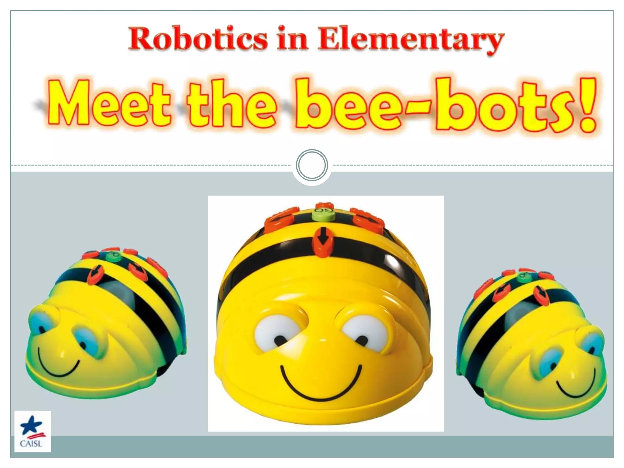 Bee bot presentation 02-2013 | PPT