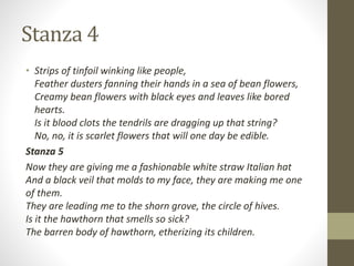 Bee meeting by salvia plath | PPTX