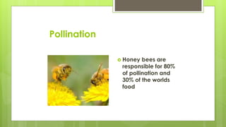 Bee-Presentation.pdf